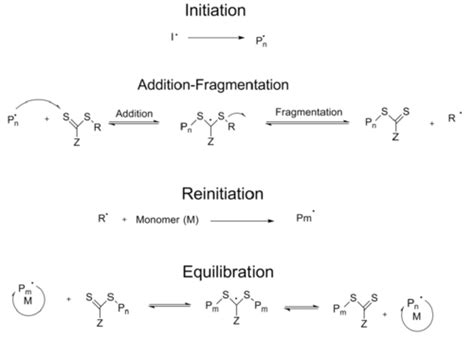 Exam 2 Polymer Synthesis Flashcards Quizlet