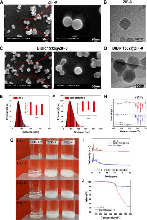 Figure 1 From Zeolitic Imidazolate Framework 8 Zif 8 As A Drug Delivery Vehicle For The