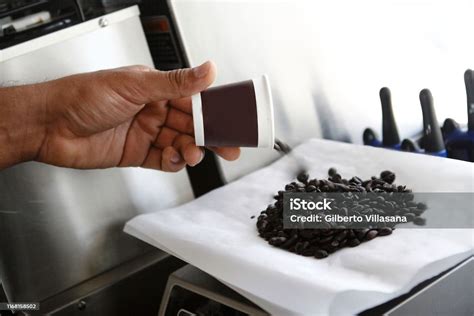 바리스타의 손이 커피 공장에서 에스프레소와 아메리칸 커피를 준비합니다 카푸치노는 이탈리아에서 유래한 에스프레소 기반 커피 음료로 전통적으로 스팀 밀크 폼으로 제조됩니다 0