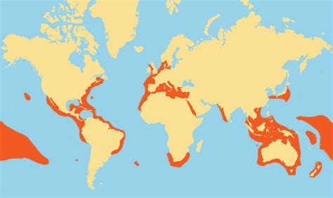 Arthropod Marine Biology Web Page