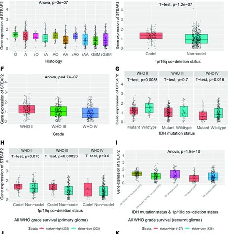 Prognostic Values Of Steap2 In Variable Grades Of Glioma A Download Scientific Diagram