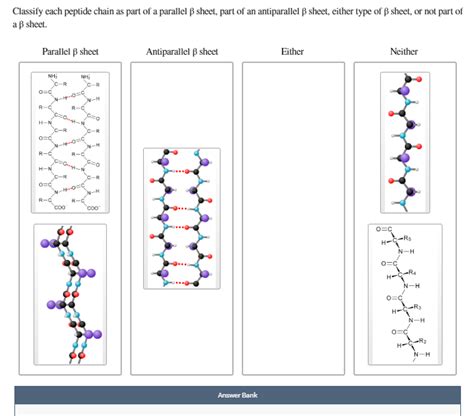 solved sheet or not part of classify each peptide chain as
