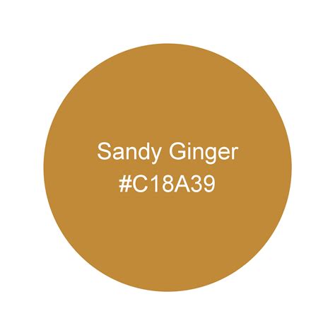 Sandy Ginger · Theme