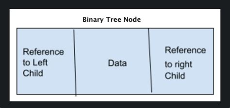 Solved What Is A Binary Tree A Binary Tree Is A Tree Data