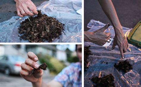 Worm Composting 101 Vermicomposting Korduroy Tv