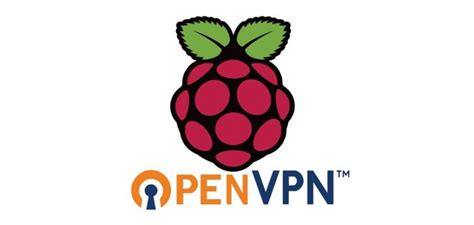 How To Setup OpenVPN On A RaspberryPi Dirty Optics