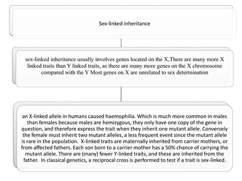 Sex Determination Ppt