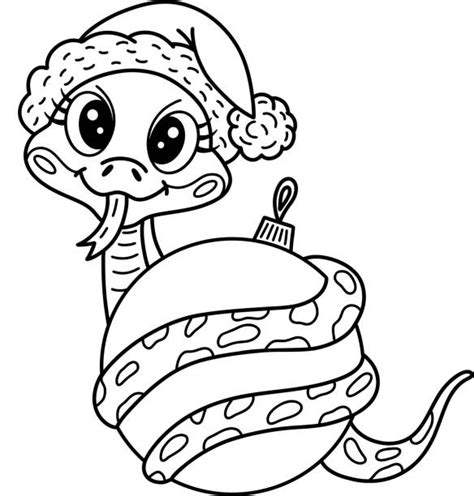 90 Royal Python Stock Illustrations Royalty Free Vector Graphics And Clip Art Istock