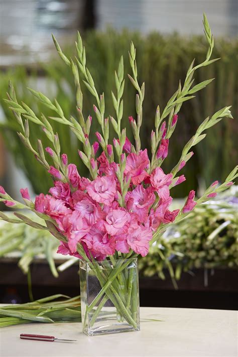 Floral Arrangement With Gladiolus At Angeline Barron Blog