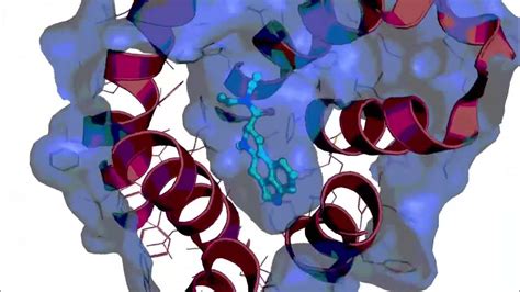 Human Serotonin Receptor 5ht2a Youtube