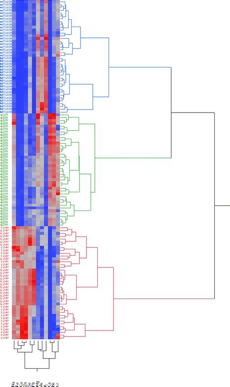 Dendrogram Of Various Hemibagrus Sp Tissue Samples From Selangor River