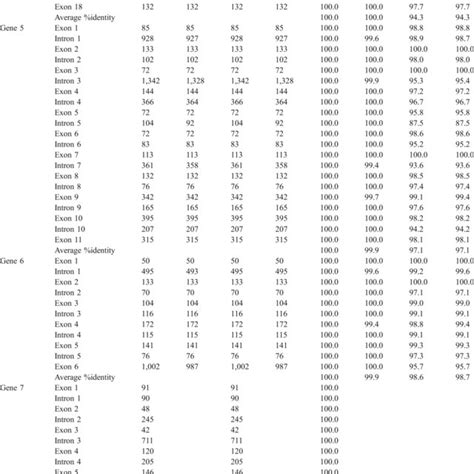 Dna Sequence Comparison Between Paired Bacs Of Dioecious X And Y Download Scientific Diagram