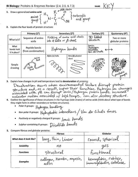 Understanding Genetic Drift Exploring The Answers With A Worksheet Key