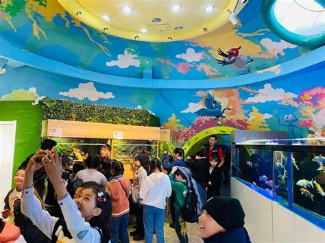 💛Оройн мэнд💛 Хүүхэд багачууддаа дуулгах гоё мэдээтэй 🤩🥳 Маргааш буюу 03 сарын 08 наас 04 сарын