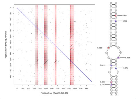 Left Dotplot Of Sequence From The Csf2rb 3 Utr Against Its Complement