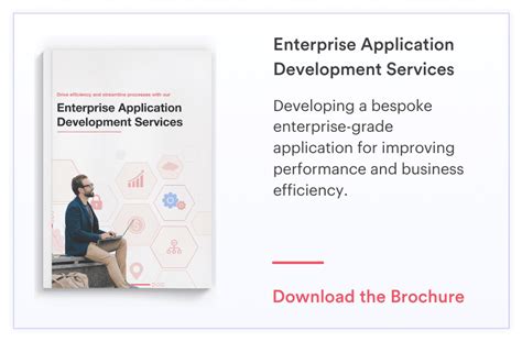 Enterprise Application Development Satisfy The Needs Of An Org