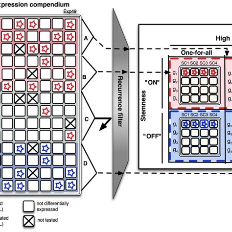 A Gene Expression Map Of Modules Reveals Seven Major Components Two