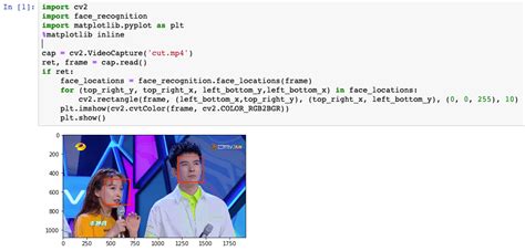 pytorch 深度学习实战：视频自动打码 csdn博客