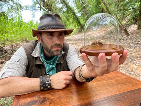Coyote Peterson gets stung on 'Brave Wilderness' - The Washington Post