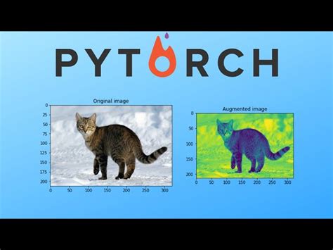 Data Augmentation In Pytorch An Example Reasontown