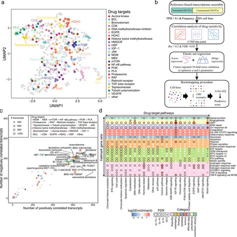 associations between transcript expression and anti cancer drug