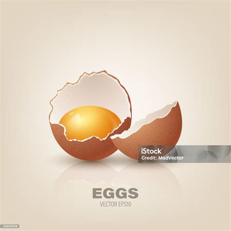 벡터 3d 현실적인 갈색 닭고기 달걀 질감이 있는 깨진 닭고기 달걀 두 부분을 깨고 노른자 근접 촬영이 분리된 균열 생 닭고기 달걀을 열었습니다 벡터 달걀이 분리되었습니다