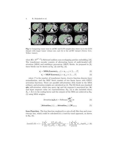Towards Optimal Patch Size In Vision Transformers For Tumor