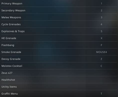 Best Counter Strike Global Offensive CS GO Settings High Ground Gaming