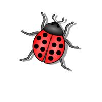 Bug Png Transparent HQ PNG Download FreePNGImg