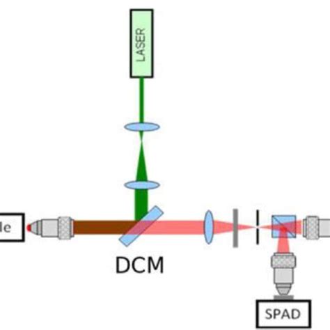 Sketch Of The Fluorescence Correlation Spectroscopy Setup The