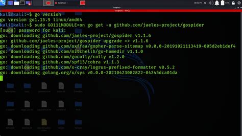 Gospider Fast Web Spider Written In Go Geeksforgeeks