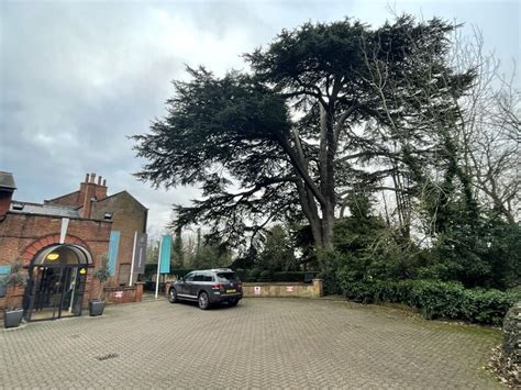 Alex Peacock Posted On Linkedin