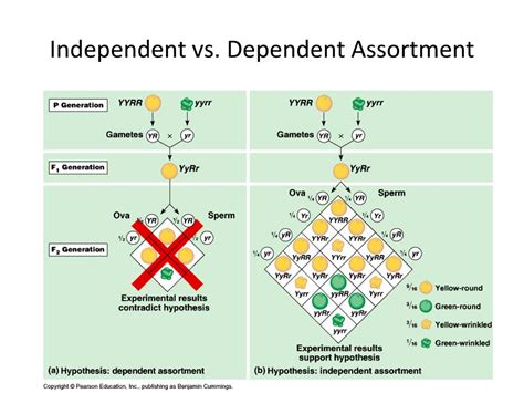 Ppt Big Idea 3 Powerpoint Presentation Free Download Id1605247