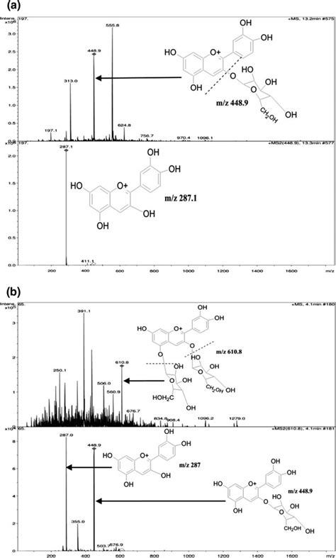 esi ms ms fragmentation pattern and proposed structures of few of the