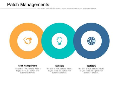 Patch Managements Ppt Powerpoint Presentation Gallery Layout Cpb Powerpoint Templates
