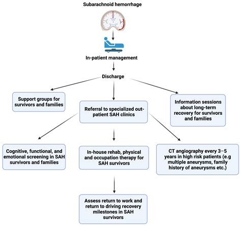 Subarachnoid Hemorrhage Aneurysm