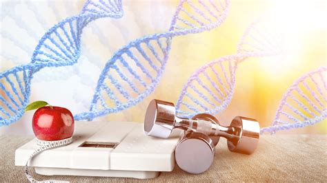 What Factors Determine Dna Methylation Biomodal