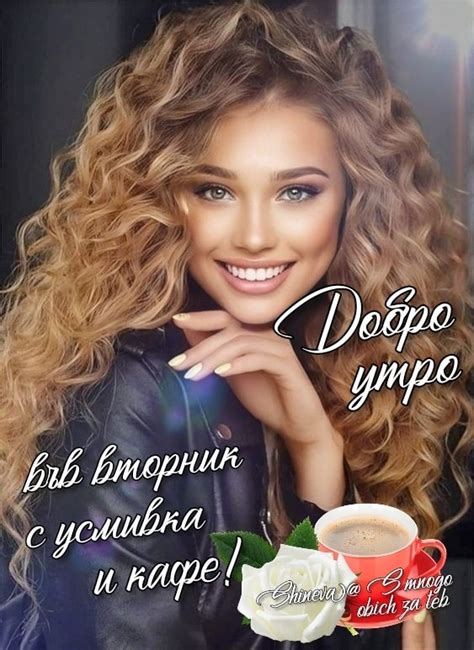 Тапицерски услуги