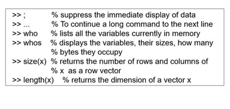 Solved Data Structure And String Data Structures Vectors And Matrices To Answer