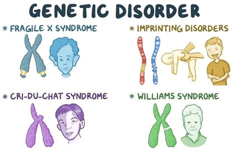 Genetic Disorders Inheritance Patterns Causes And Treatment