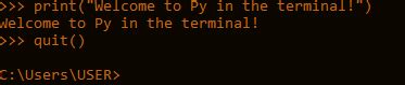 Python End Program How To Exit A Python Program In The Terminal