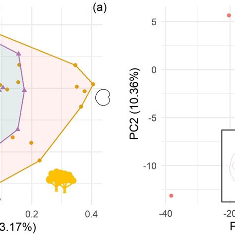 Pca On Shape Variation With Visualization Of Extreme Shape For The Two Download Scientific
