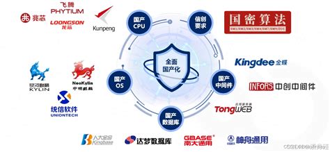 为什么软件产品要做国产化适配?深度解析背后的必要性 Csdn博客 为什么软件产品要做国产化适配?深度解析背后的必要性 Csdn博客