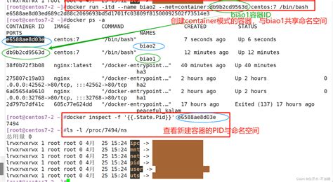 探索开源的容器引擎 docker网络 docker创建容器时使用共享网络和宿主机 csdn博客