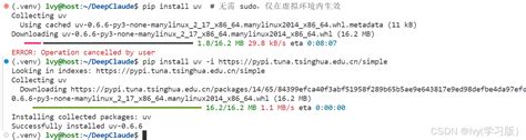 解决pip安装uv时下载速度慢 dtcms