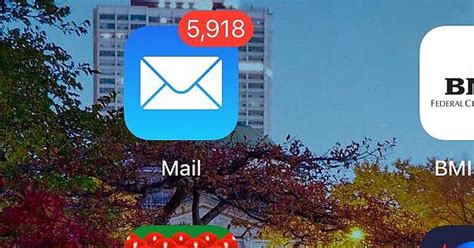 Rookie Album On Imgur