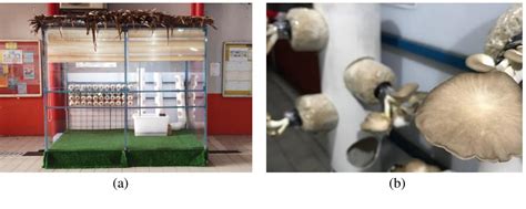 Figure 3 Iot Based Oyster Mushroom Farming Monitoring