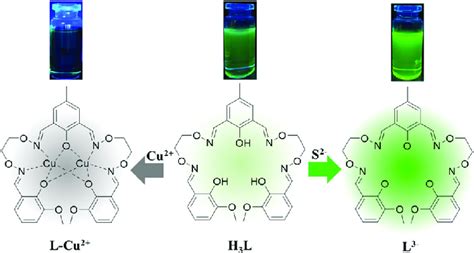 An Explanation Of The Principle Of Chemosensor H 3 L Identifying Cu 2 Download Scientific