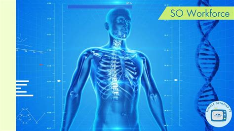 Science Olympiad Anatomy Test Science Olympiad Anatomy And Physiology