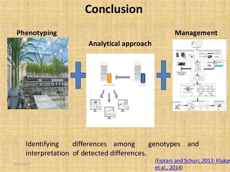 High Throughput Phenotyping